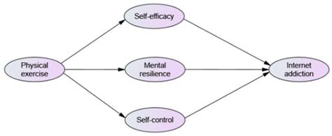Ijerph Free Full Text Multiple Intermediary Model Test Of Adolescent Physical Exercise And