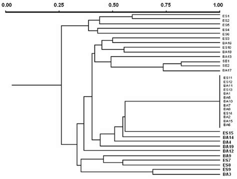 jaccard genetic similarity dendrogram based on individual samples of