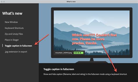 Where To Permanently Enable Caption View In Fullsc Adobe Community