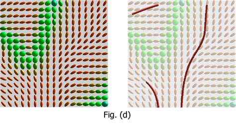 Initiative For High Dimensional Data Driven Science Through Deepening