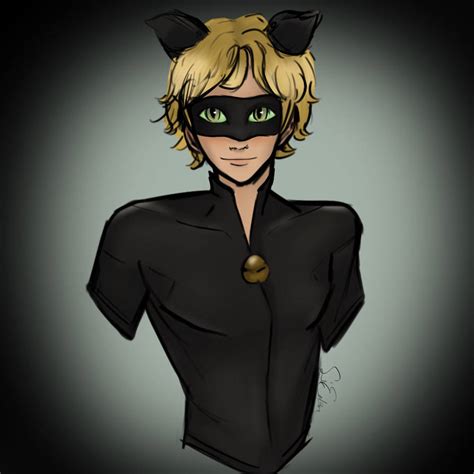 Cat Noir Fan Art By Sired3n On Deviantart