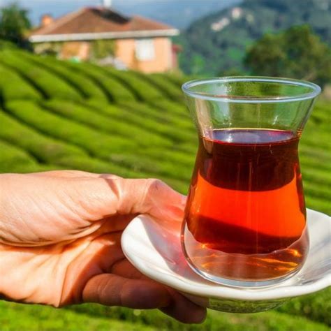 土耳其紅茶 口獨立包裝 Turkish Black Tea Bag 蝦皮購物