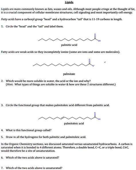 Solved Lipids Lipids Are More Commonly Known As Fats Waxes And Oils Although Most People