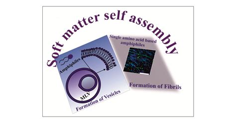 Self Assembly Of Amphiphiles Into Vesicles And Fibrils Investigation Of Structure And Dynamics