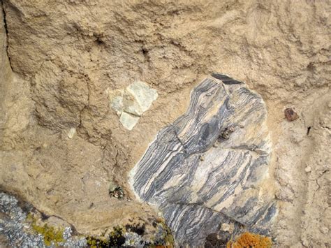 Alex Strekeisen Xenolith