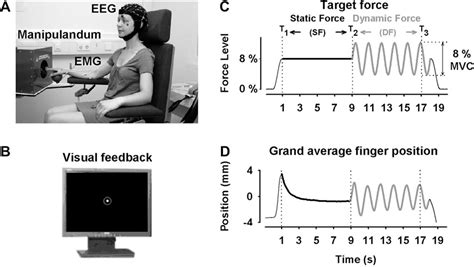 Figure 1 From Corticomuscular Coherence Reflects Interindividual