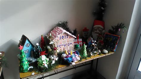 ჩემი პორტფოლიო სასკოლო პროექტებში მონაწილეობა