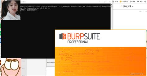 burpsuite基础 burpsuite简单版 csdn博客