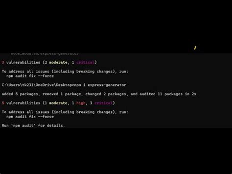 Node Js How To Solve Vulnerability Issues Npm I Express Generator Error Fix Npm