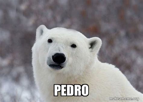 Pedro Popular Opinion Polar Bear Meme Generator
