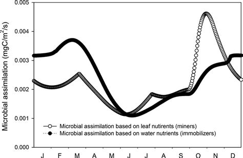 Microbial Assimilation By Miners And Immobilizers From The Simulation