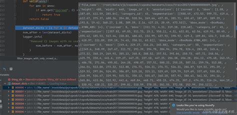 Defcn Debug记录（训练过程），以及对cvpods框架的分析eval Only Csdn博客