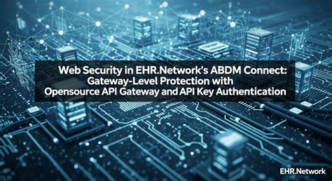 Secure Abdm Integration Gateway Web Security Ehr Network