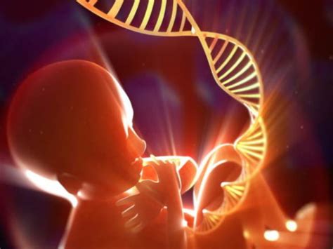 Savalnet Mundo Médico Noticias