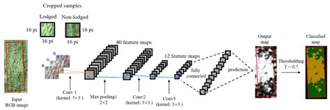 Agronomy Free Full Text Automatic Wheat Lodging Detection And Mapping In Aerial Imagery To