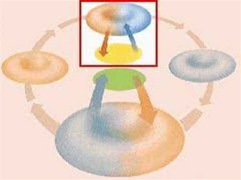 Transport Of Oxygen BioSolutions