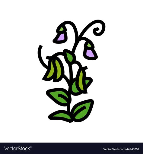 Pea Plant Healthy Color Icon Royalty Free Vector Image