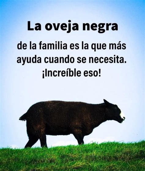 La Oveja Negra De La Familia Es La Que Más Ayuda Cuando Se Necesita