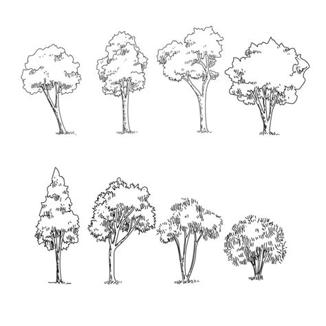 Set Of Trees Sketch Hand Drawing Silhouette Black And White Vector