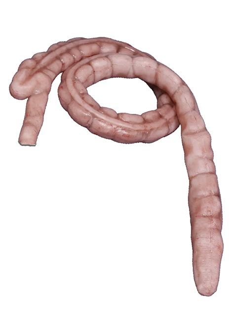 Silicone Fake Body Parts Dapper Cadaver Props