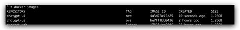 基于开源的 Chatgpt Web Ui 项目，快速构建属于自己的 Chatgpt 站点 Csdn博客