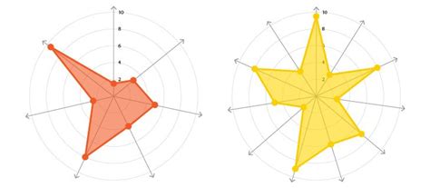 Radar Chart And Spider Chart Infographic Illustration