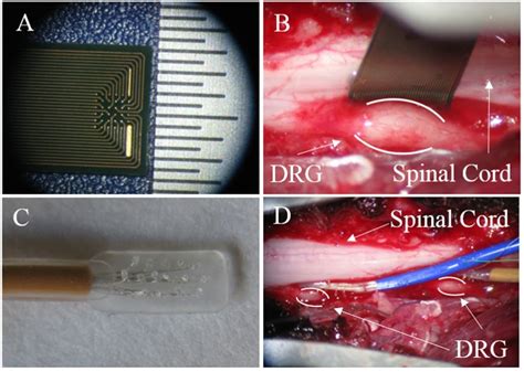 Images Showing Non Penetrating Microelectrode Arrays Used In This