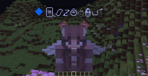 Hide Skript Builtbybit