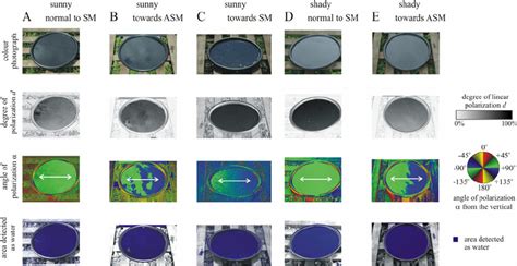 Colour Photograph Patterns Of The Degree Of Linear Polarization D And