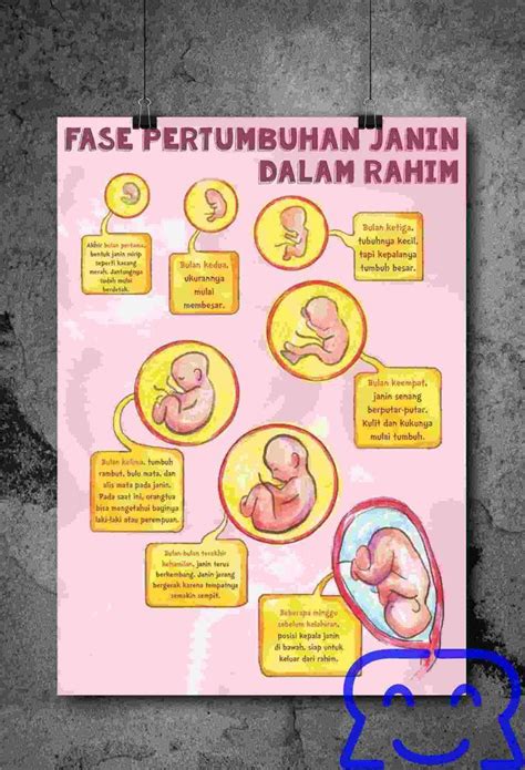 Poster Perkembangan Janin Dalam Rahim Paket Poster Ibu Hamil