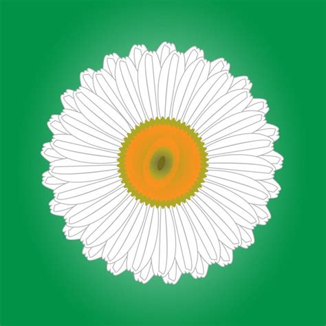 Premium Vector Vector Art Flower