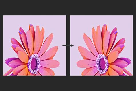How To Flip A Layer In Photoshop Envato Tuts