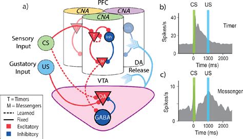 Figure 1 From Learning And Expression Of Dopaminergic Reward Prediction Error Via Plastic