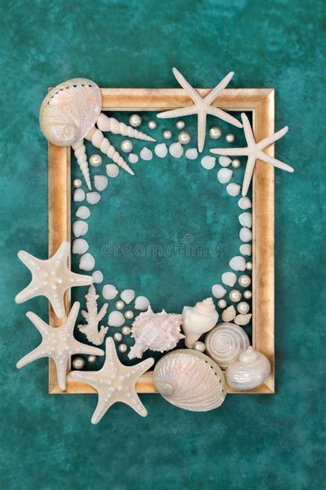 Seashell And Pearl Summer Background Border Stock Image Image Of Card Mother 284888597