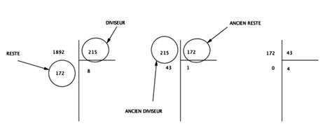 Fiche De Révision Diviseur Commun à Deux Entiers Pgcd Réviser Le Brevet