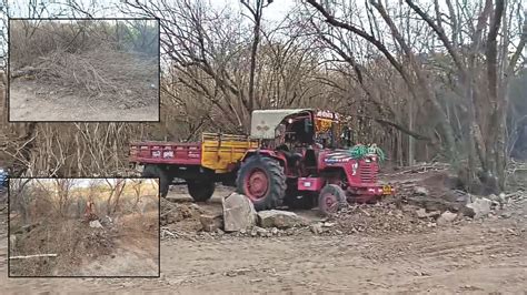 Storm Brews Over Deforestation At Sppu Students Protest Large Scale