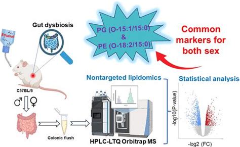 Sex Specific Effect Of Ethanol On Colon Content Lipidome In A Mice