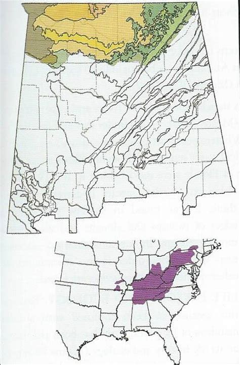 Hellbender Outdoor Alabama