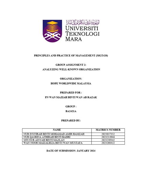 Mgt Assignment 2 Pdf