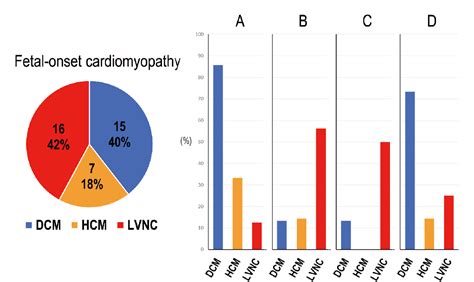 Figure 1 From Left Ventricular Noncompaction Develops Even In Late