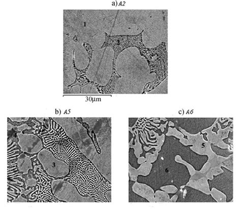 Sem Microphotographs For The Samples A2 A A5 B And A6 C