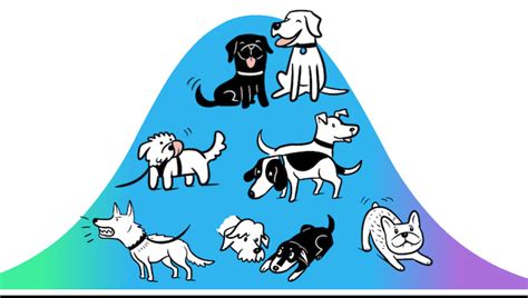 Dog Sociability Is A Spectrum Part 2