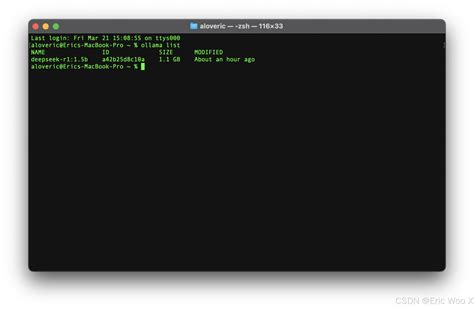 deepseek r1 本地部署指南 3 更换本地部署模型 windows macos 通用 技术栈