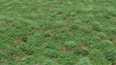 Realistic Grass 3d Model Turbosquid 2107317