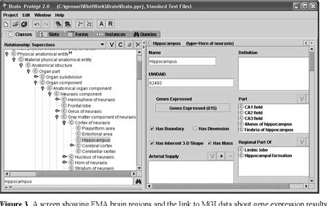 Figure 3 From Integrating Genomic Knowledge Sources Through An Anatomy Ontology Semantic Scholar
