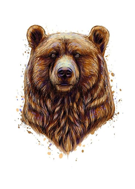 Portrait Of A Brown Bear Poster By Nguyen Duc Hieu Displate Bear