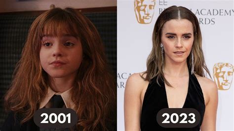 Hermione Granger Anois 2024