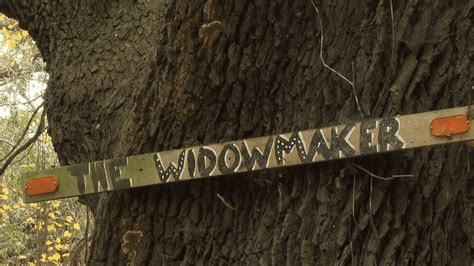 Community Mourns Loss Of Brothers Calls For Removal Of Widowmaker