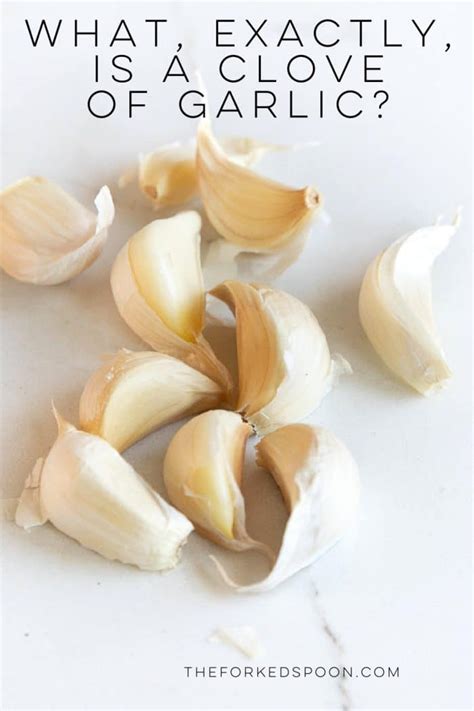 One Clove Of Garlic Garlic How To Plant Grow And Harvest Garlic