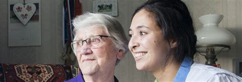 Groningen Frailty Indicator Gfi